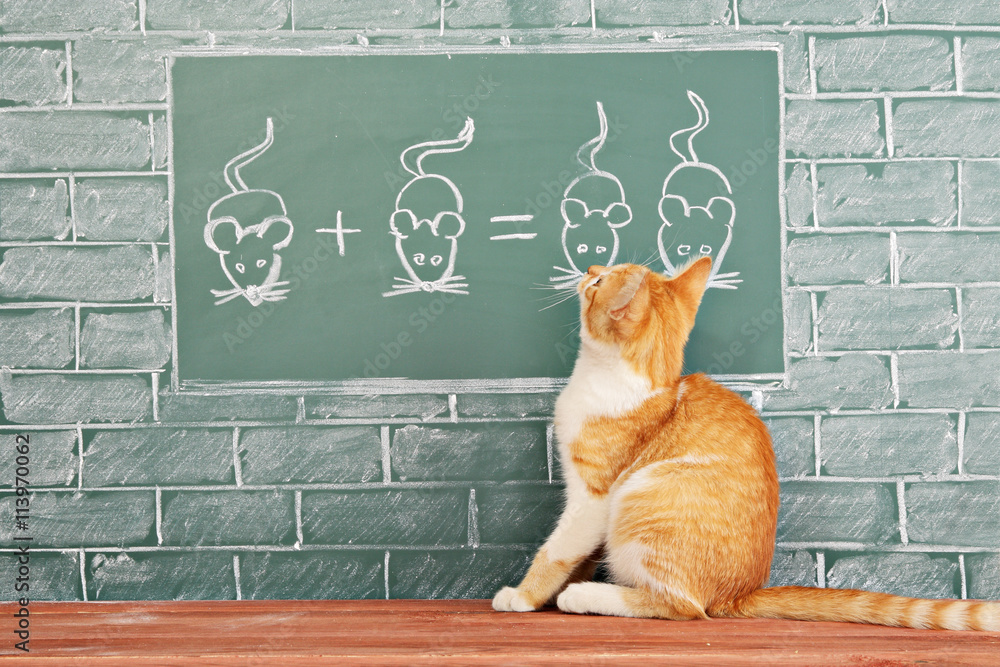 Animal school Stock Photo | Adobe Stock