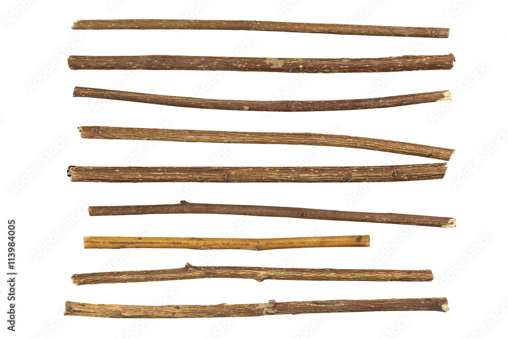 twig Stock Photo | Adobe Stock