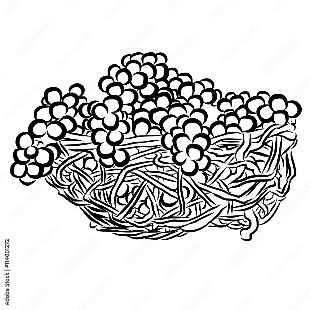 Grapes Sketched Outline Vector Illustration Stock Vector | Adobe Stock