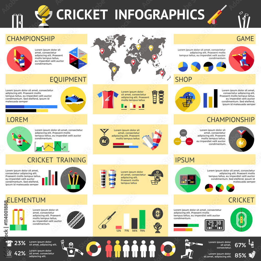 Cricket Colored Infographics Stock Vector | Adobe Stock