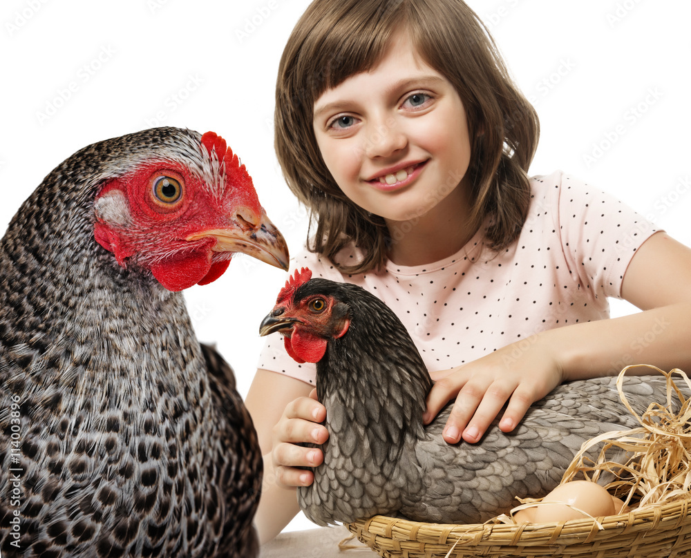 Foto Stock little girl with a hen (chicken) - concept bio eggs | Adobe ...