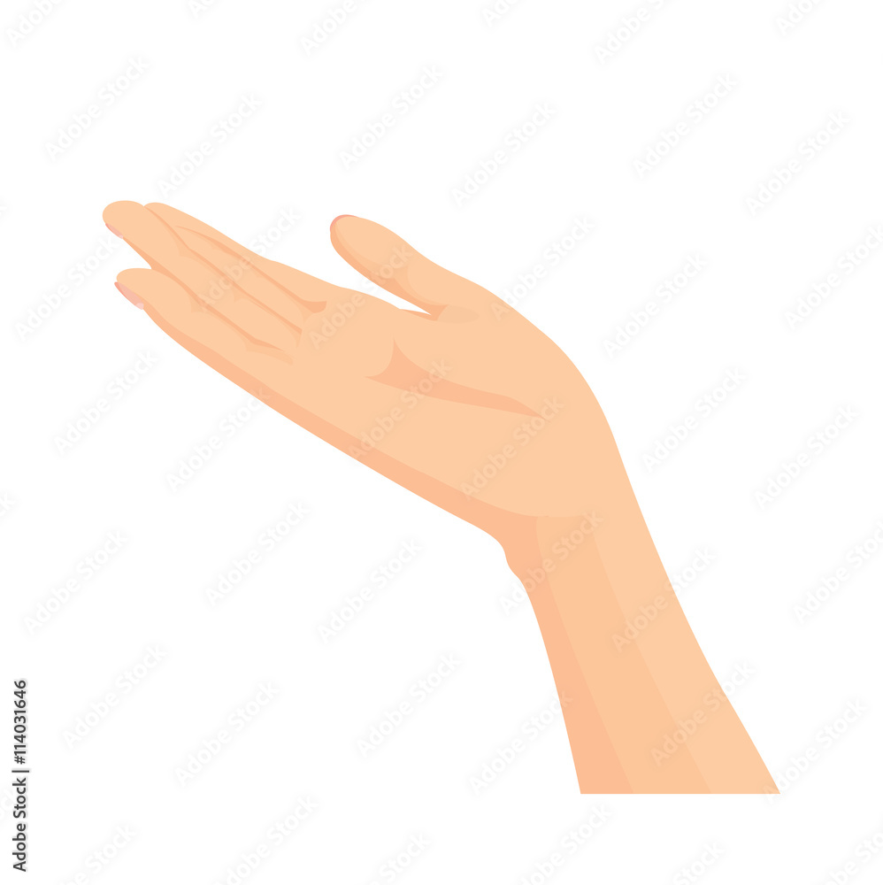Vector of Beautiful female open hand isolated on a white background ...