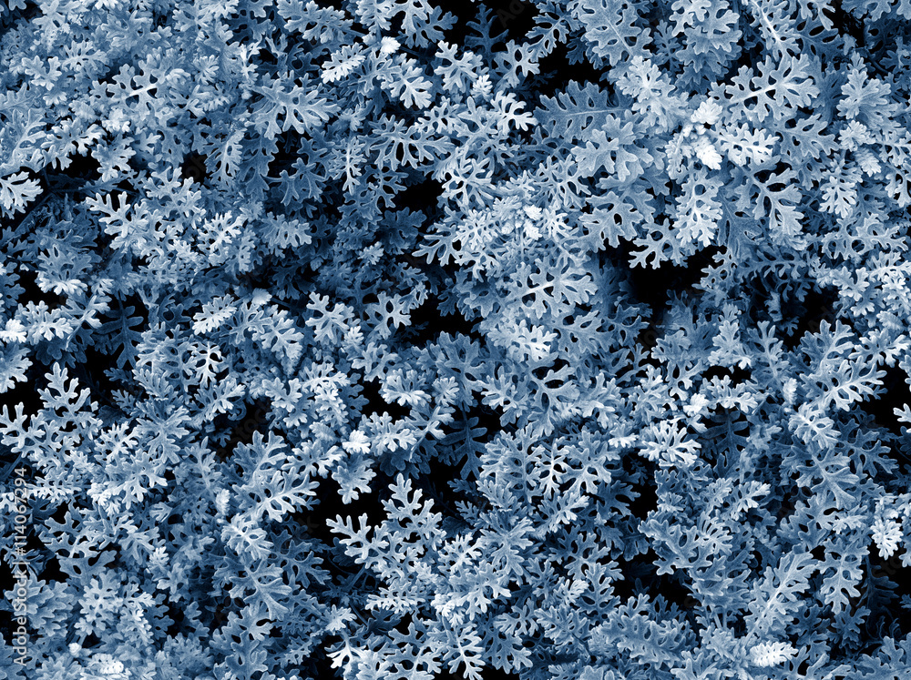 Moss texture photo seamless pattern Stock Illustration | Adobe Stock