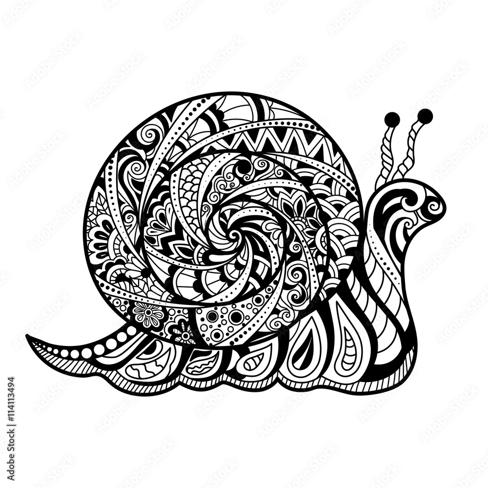 Hand drawn vector outline snail decorated with abstract ornaments in ...