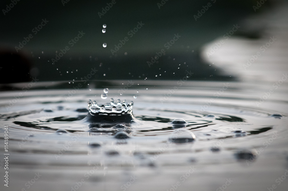 Water Drop Landing On Surface Of Pond Stock Photo | Adobe Stock