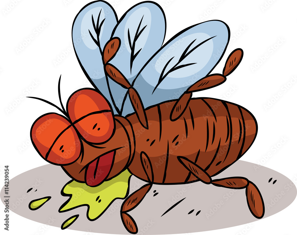 Cartoon Flies