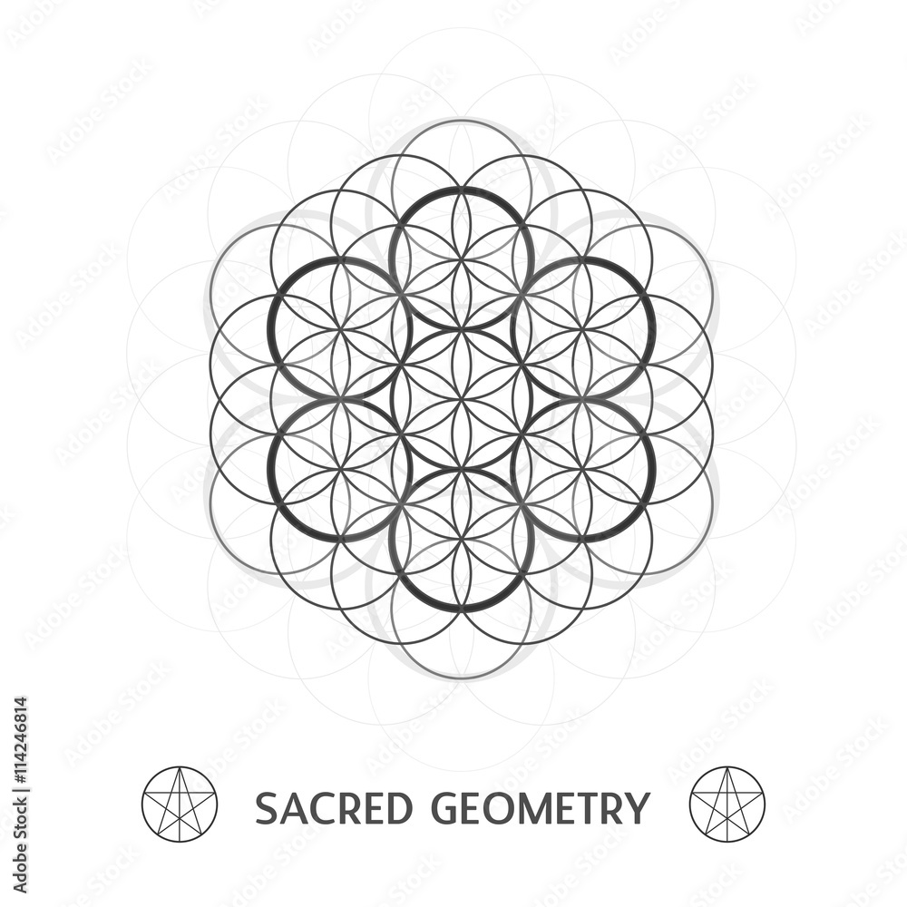 sacred geometry flower of life symbol Stock Vector | Adobe Stock