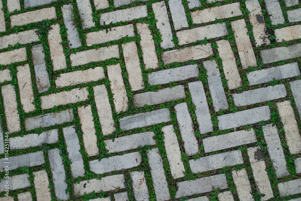 Old cobblestone background with grass / Brick with grass / tiles with ...