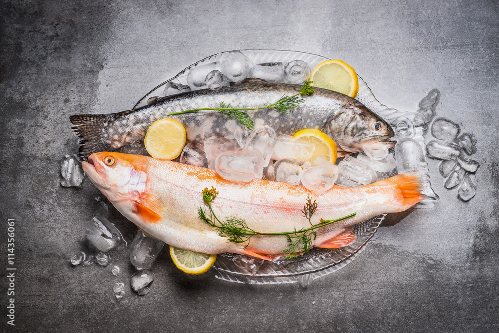 Fotka „Raw whole trout fish and Gold Rainbow trout in glass plate in ...
