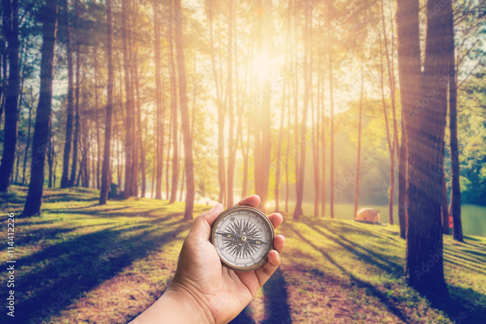 Hand man holding compass at larch forest with sunlight and shado Stock ...