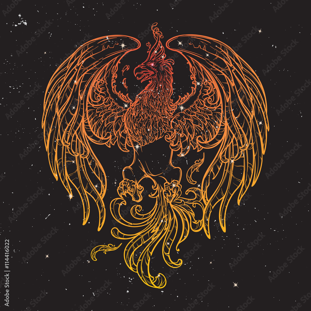 Sketch drawing of Phoenix. Night sky background. Stock Vector | Adobe Stock