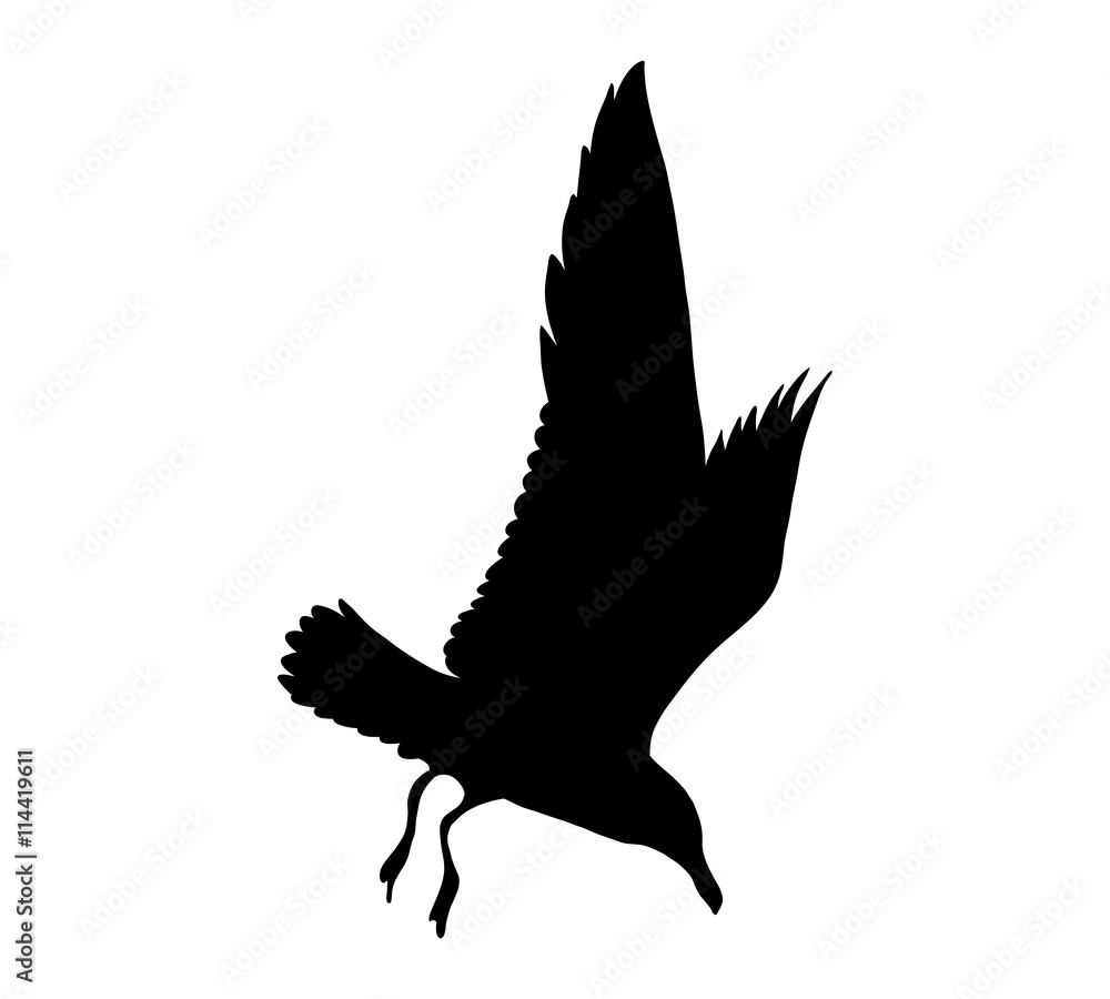 Seagull flying silhouette isolated on white background. Vector ...