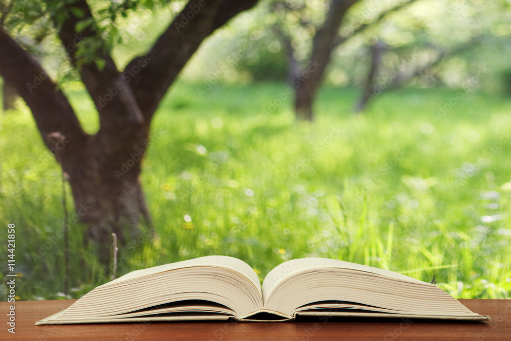 Open book over the landscape background Stock Photo | Adobe Stock