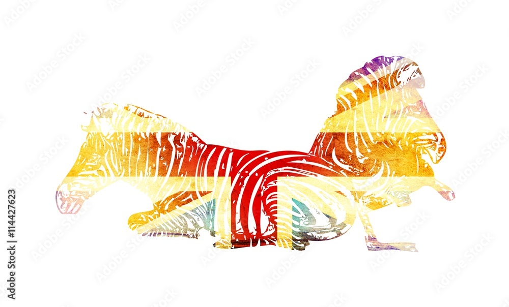 Zebra flag isolated on white background Stock Illustration | Adobe Stock