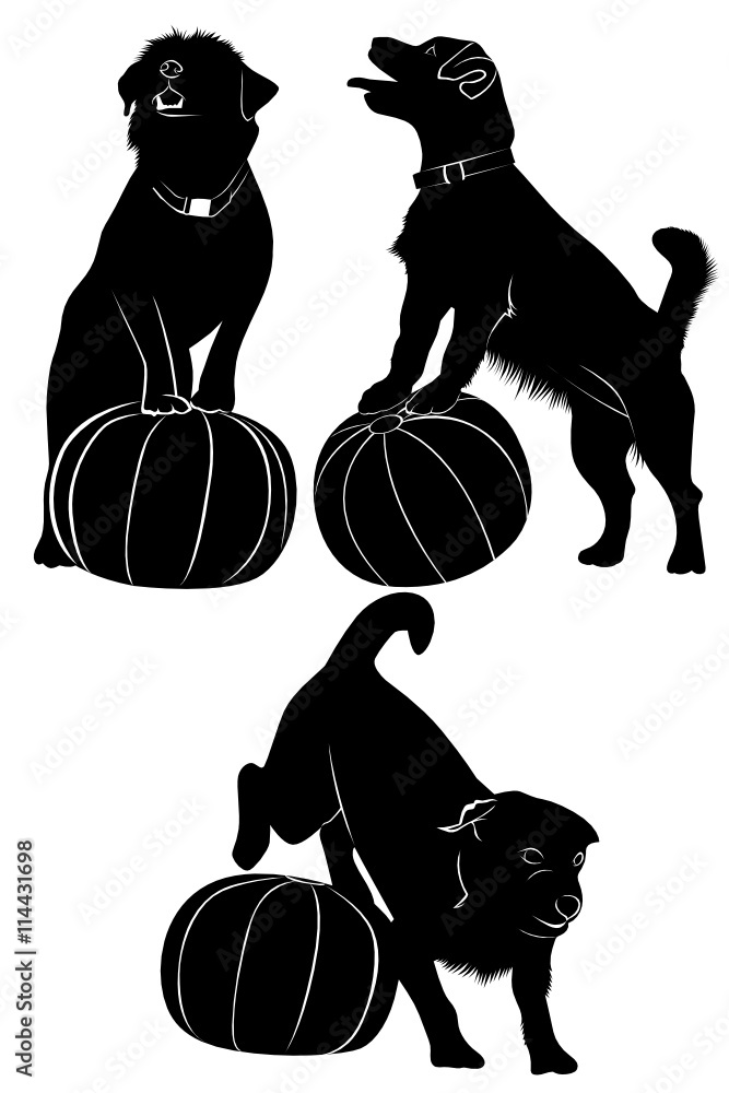 training dogs. Dog and ball. dogs vector drawing isolated on white ...