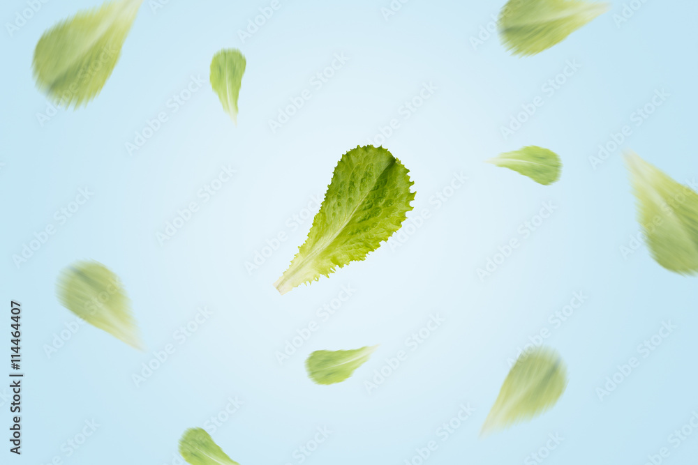 Flying lettuce background Stock Photo | Adobe Stock