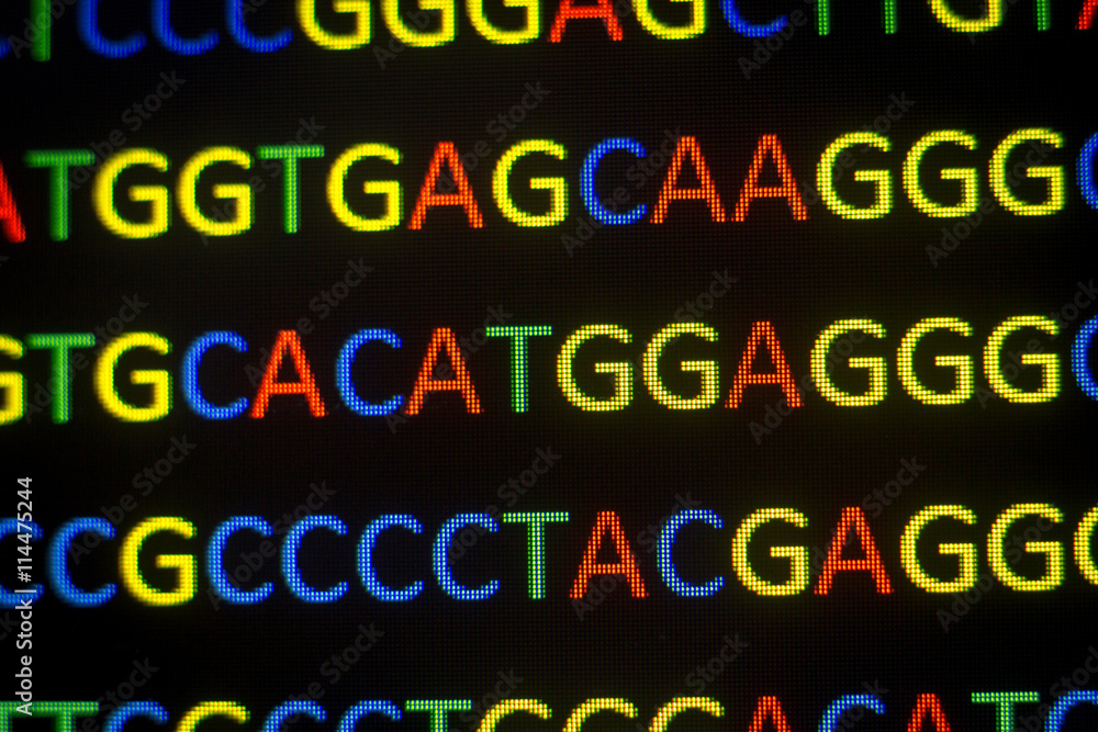 DNA sequence with colored letters on black background Stock ...