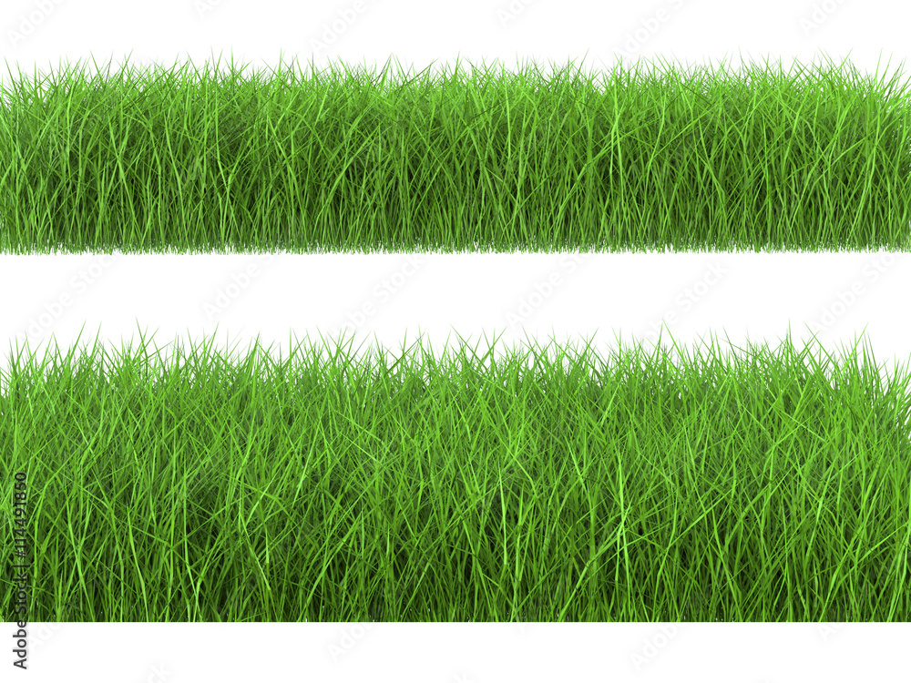 green grass side view Stock Photo | Adobe Stock