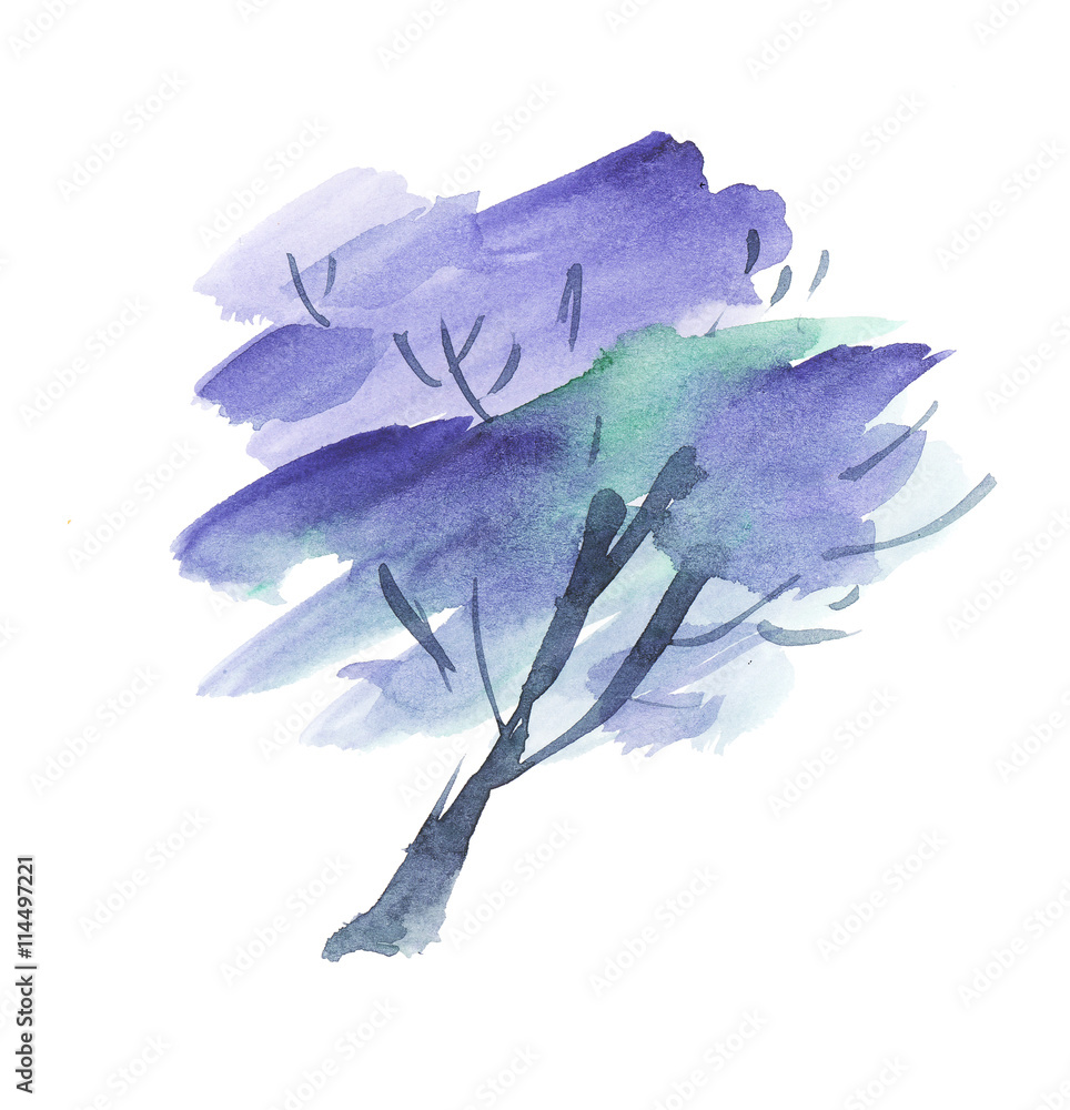 painted Jacaranda tree blossom. watercolor hand drawn illustrati Stock ...