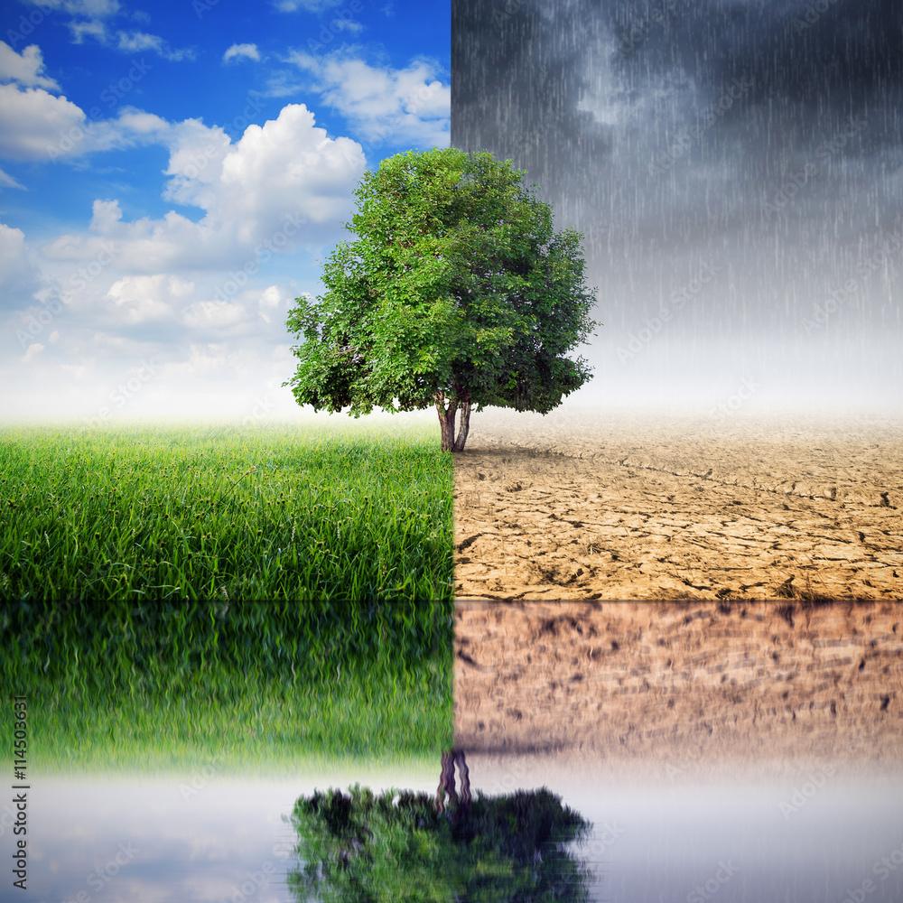 Concept of climate change. Stock Photo | Adobe Stock