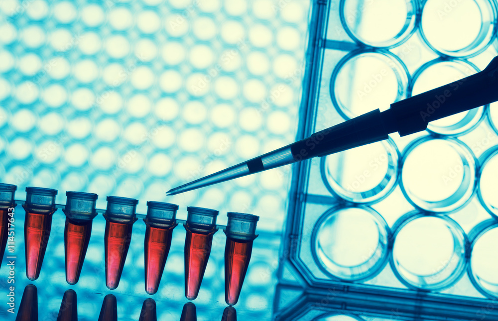 PCR strip test tubes and micropipette in genetics laboratory 스톡 사진 ...