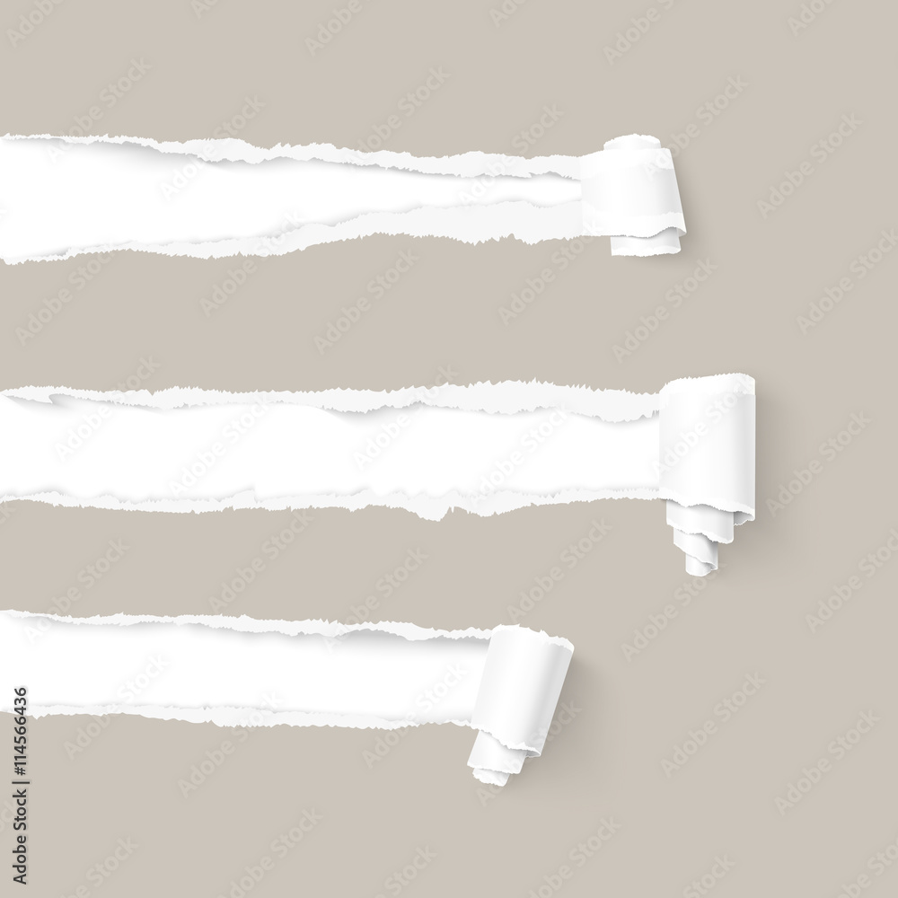 Three craft gray torn paper with a paper scroll over white background ...