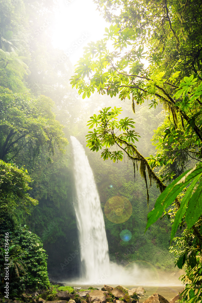 Tropical waterfall In dense tropical rain forest with sun shining ...