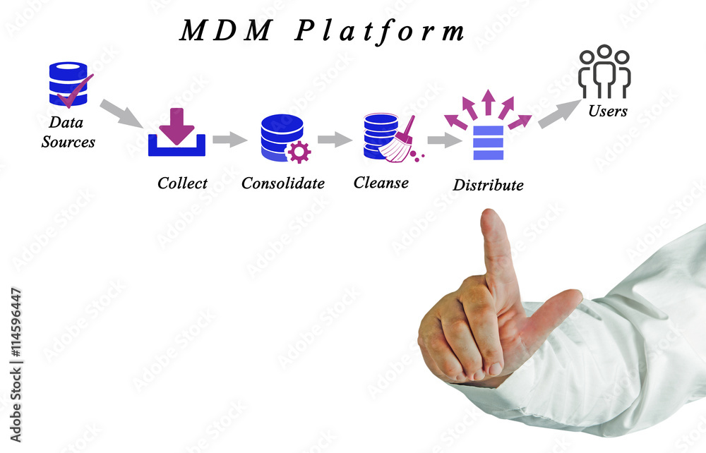 Diagram of Master Data Management Stock Photo | Adobe Stock