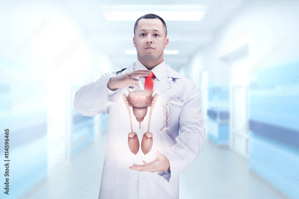 Doctor with stethoscope and male reproductive system on the hands. High ...