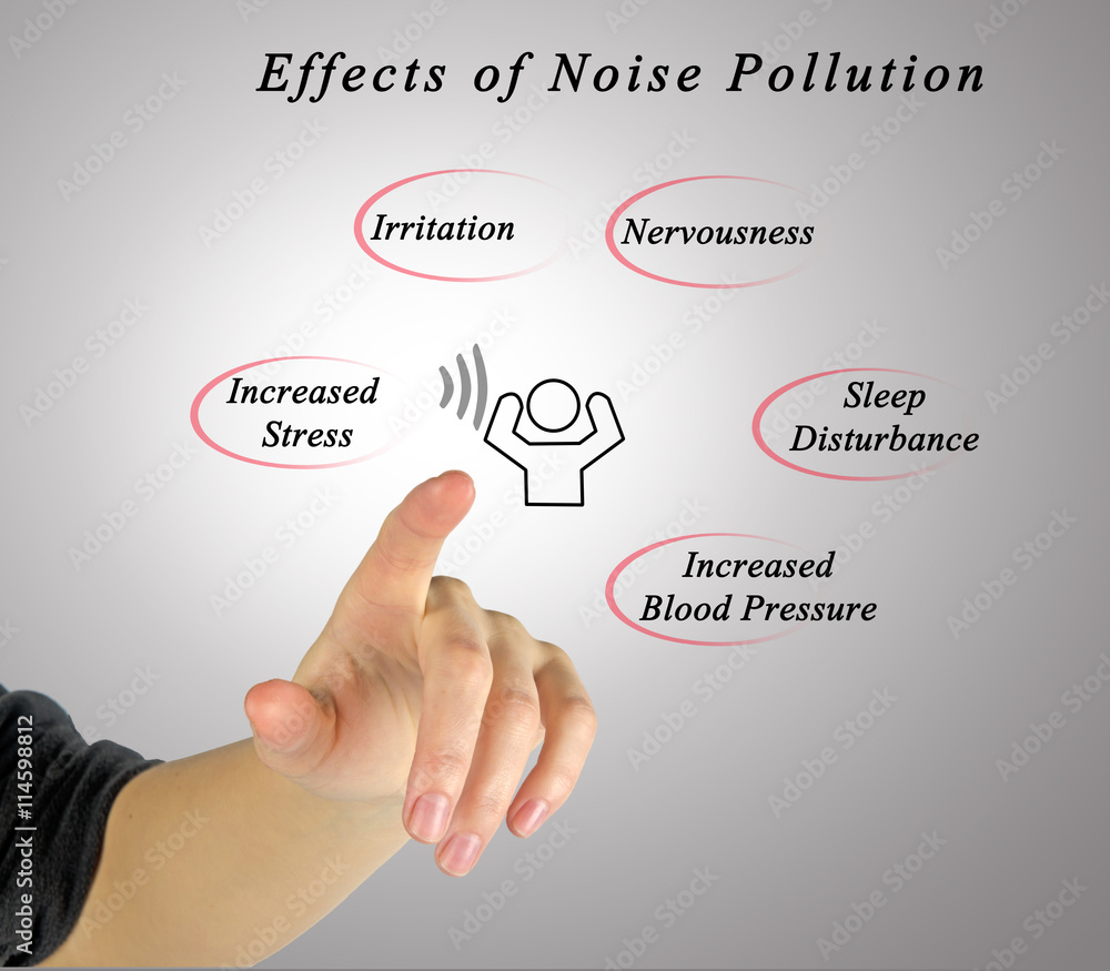 Effects Of Noise Pollution