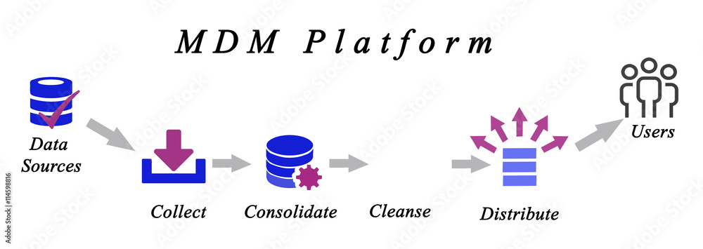 Diagram of Master Data Management Stock Illustration | Adobe Stock