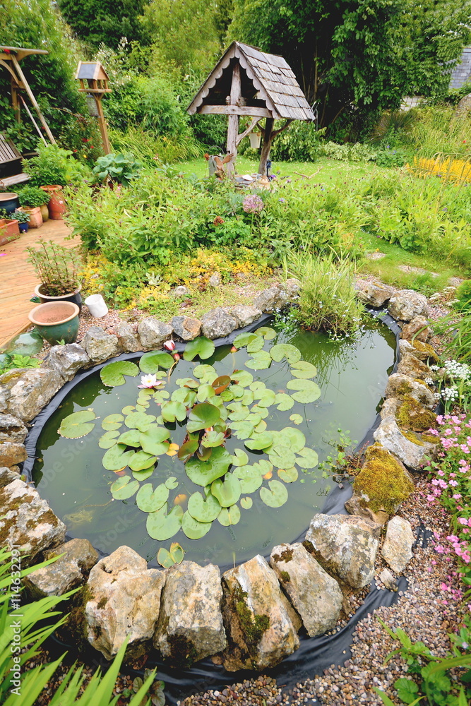 Beautiful pond in cottage style garden in Devon, England Stock Photo ...