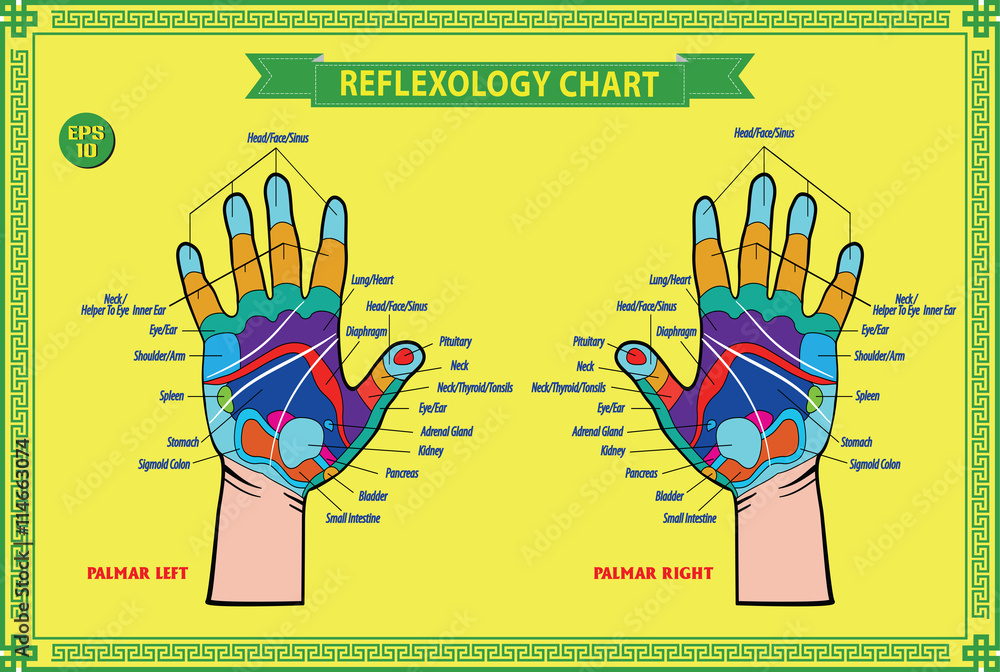 Hand reflexology chart with accurate description of the corresponding ...