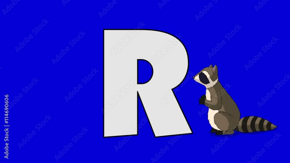 Letter R and Raccoon (foreground) Animated animal alphabet. Motion ...