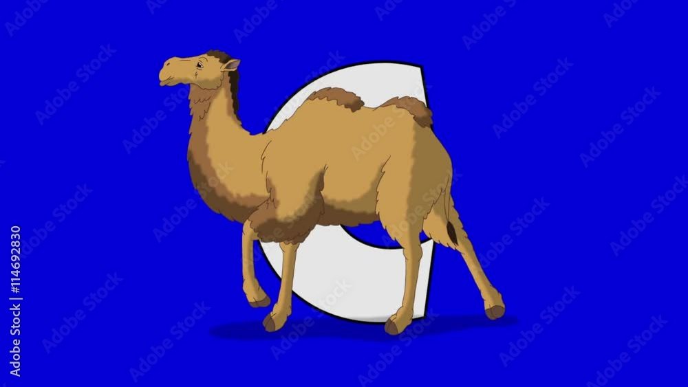 Letter C and Camel (foreground) Animated animal alphabet. Motion ...