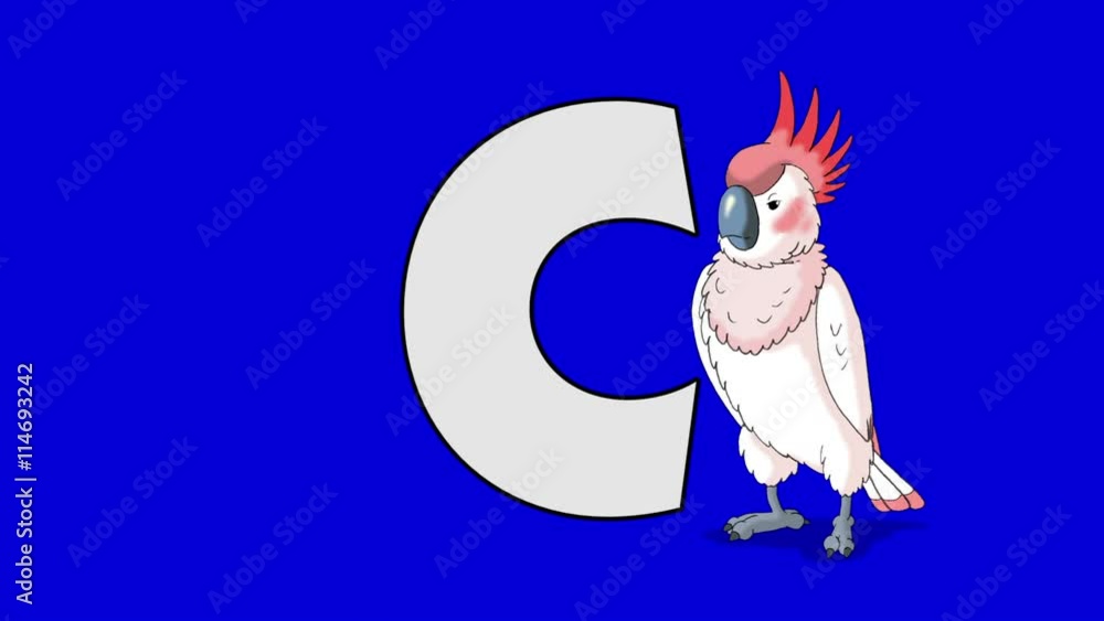 Video „Letter C and Cockatoo (foreground) Animated animal alphabet ...