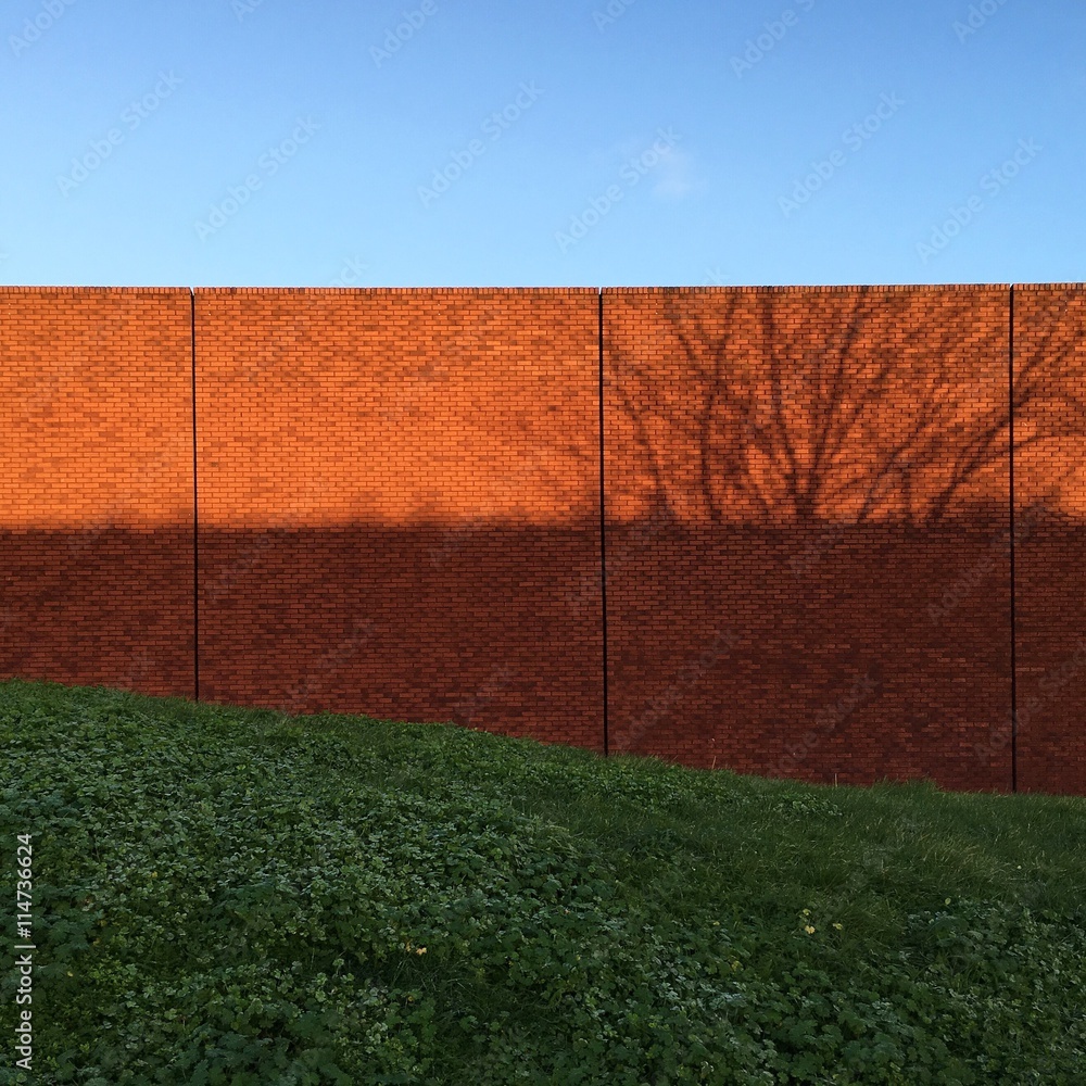 Shadow of a tree on a red brick wall with blue sky and green grass hill ...