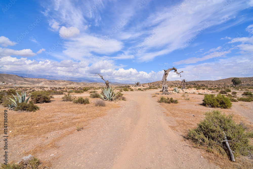 Dry Desert Landscape Stock Photo | Adobe Stock