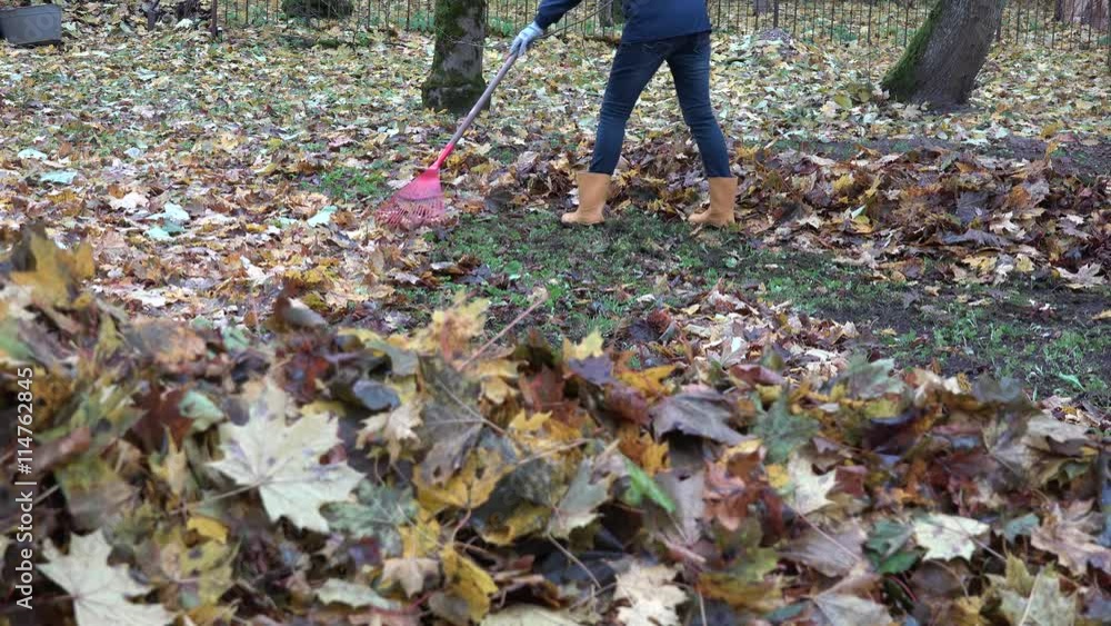 Pile of blurred leaves and woman legs in gumboots raking leaves with ...