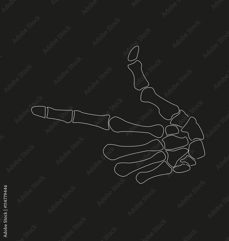 skeleton hand pointing contour Stock Illustration | Adobe Stock