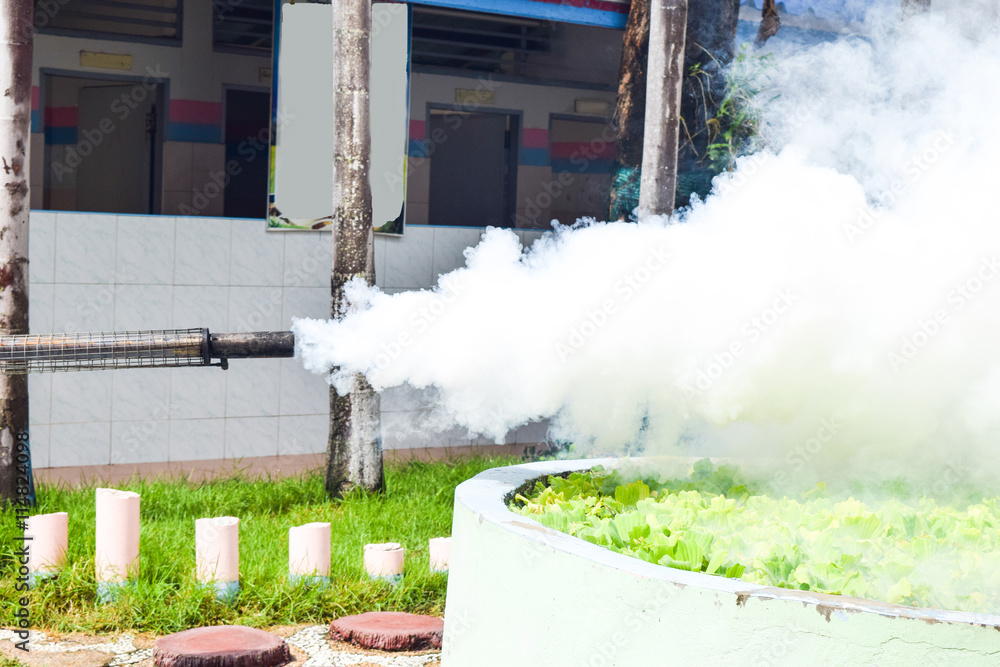 smoke from Spray mosquito repellent Stock Photo | Adobe Stock