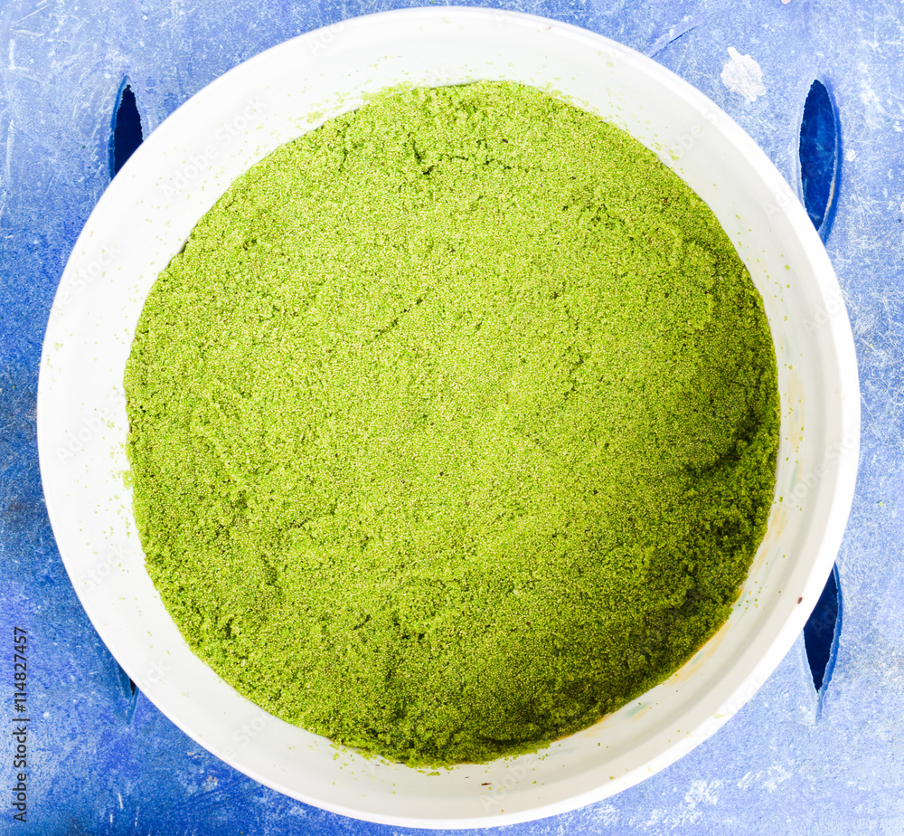 Wolffia globosa or Fresh water Alga, Water Meal, Swamp Algae. Stock ...