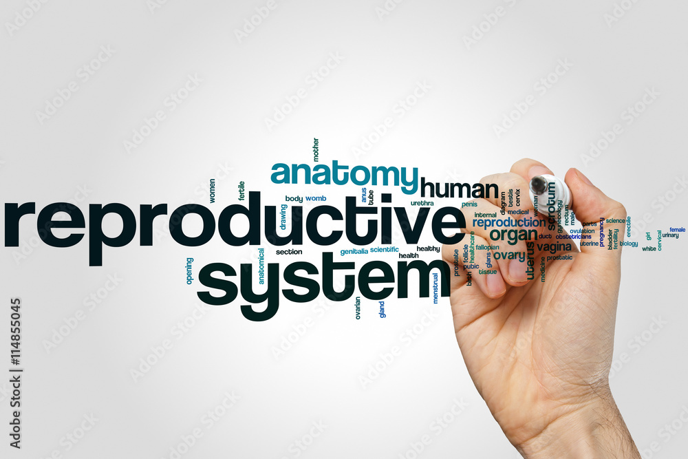 Reproductive system word cloud Stock Photo | Adobe Stock