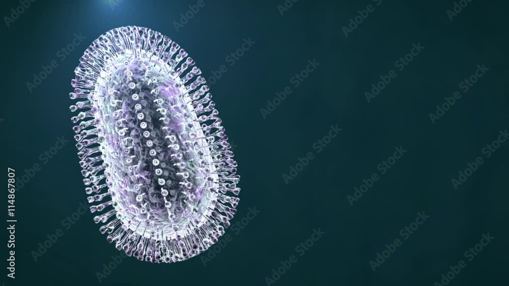 Virus of rabies disease. Animation of rabies virus illness. Stock Video ...