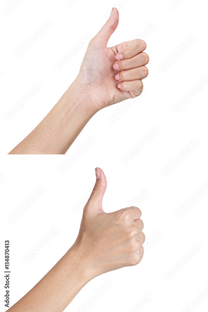 Woman's hands gesturing sign thumbs up front and back side, Isolated on ...