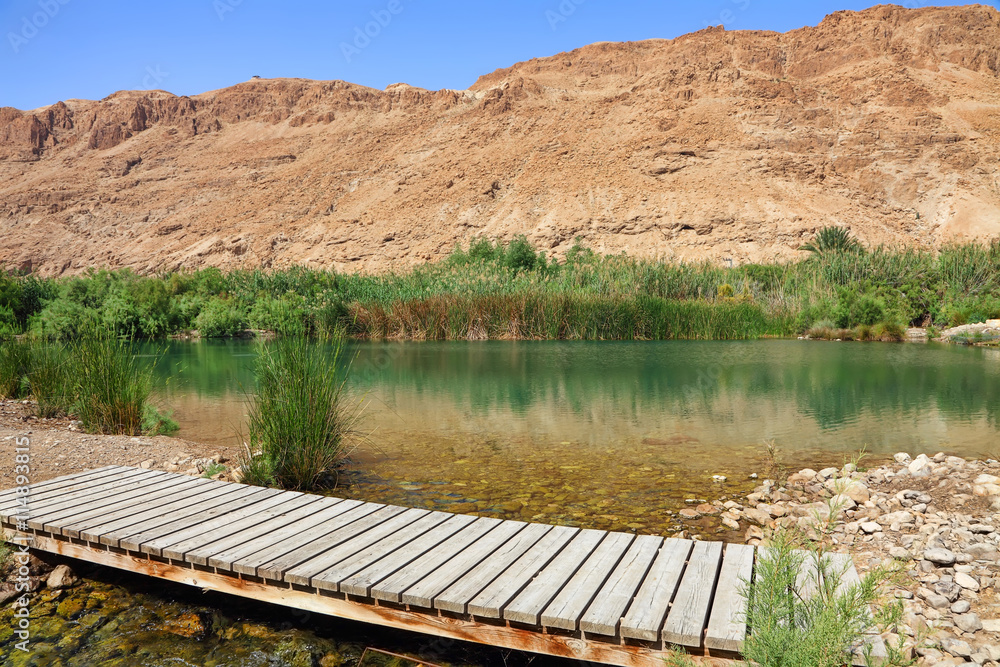 Lake with natural spring water of mountain springs. Einot Tzukim (Ein ...