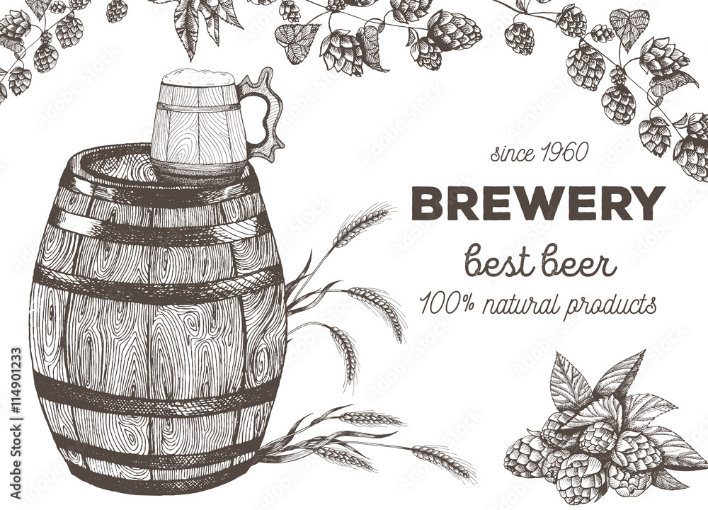 Hops And Barley Vector