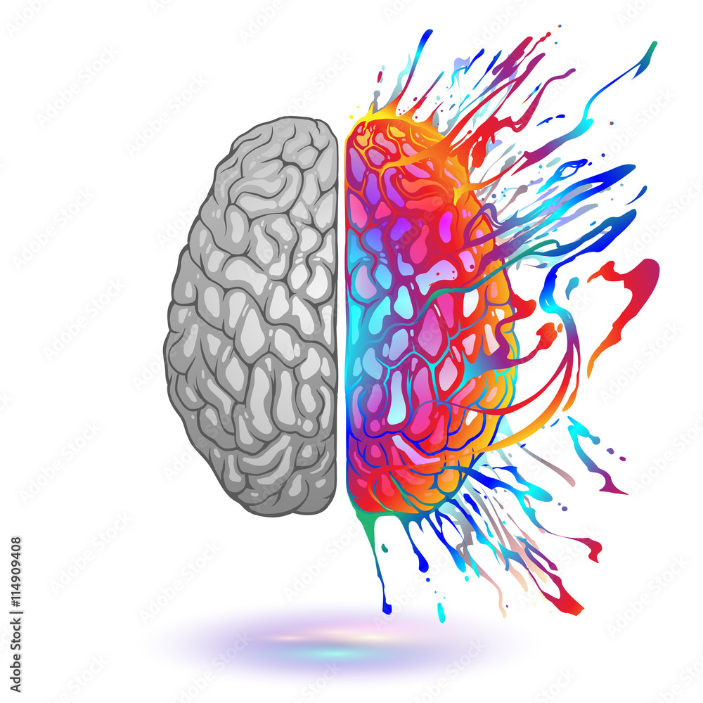 Human brain with creative splash Stock Vector | Adobe Stock