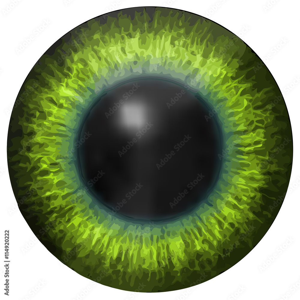 Eye iris vector texture Stock Vector | Adobe Stock