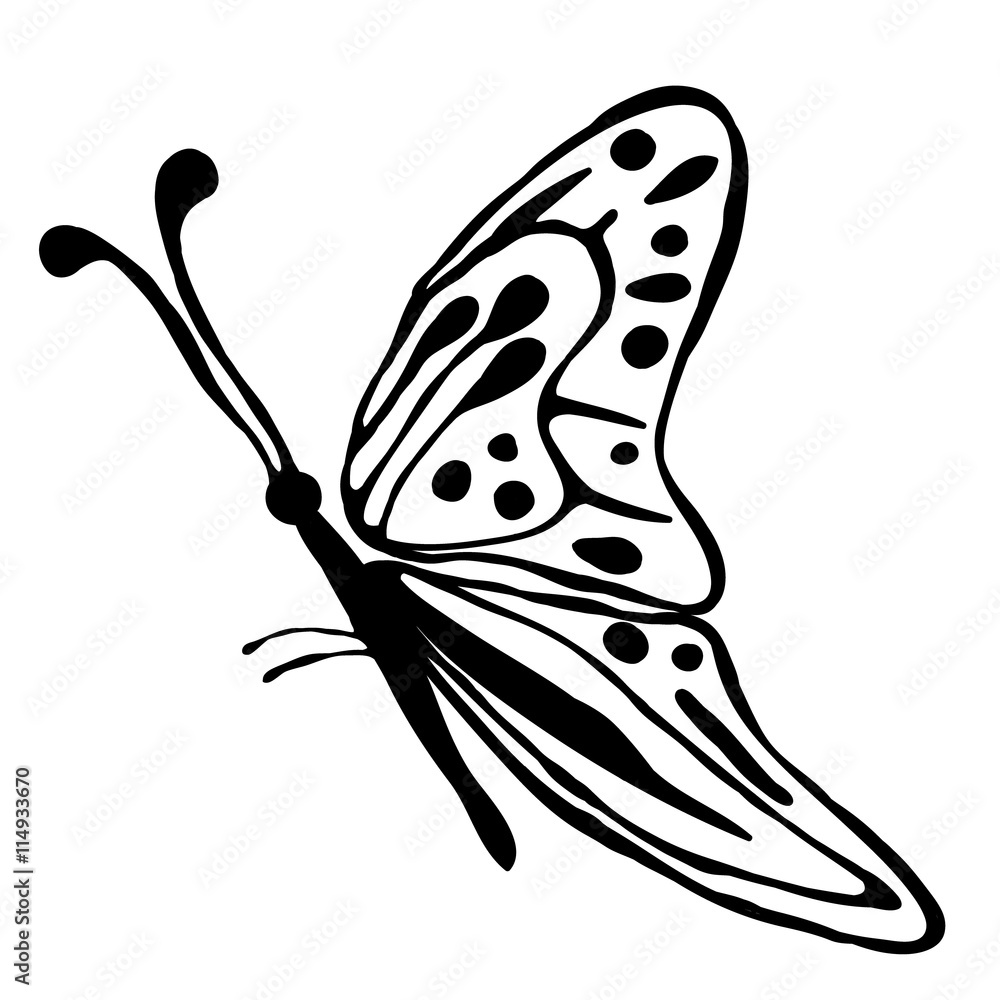 Vector illustration of insect. Cute hand drawn black butterfly isolated ...